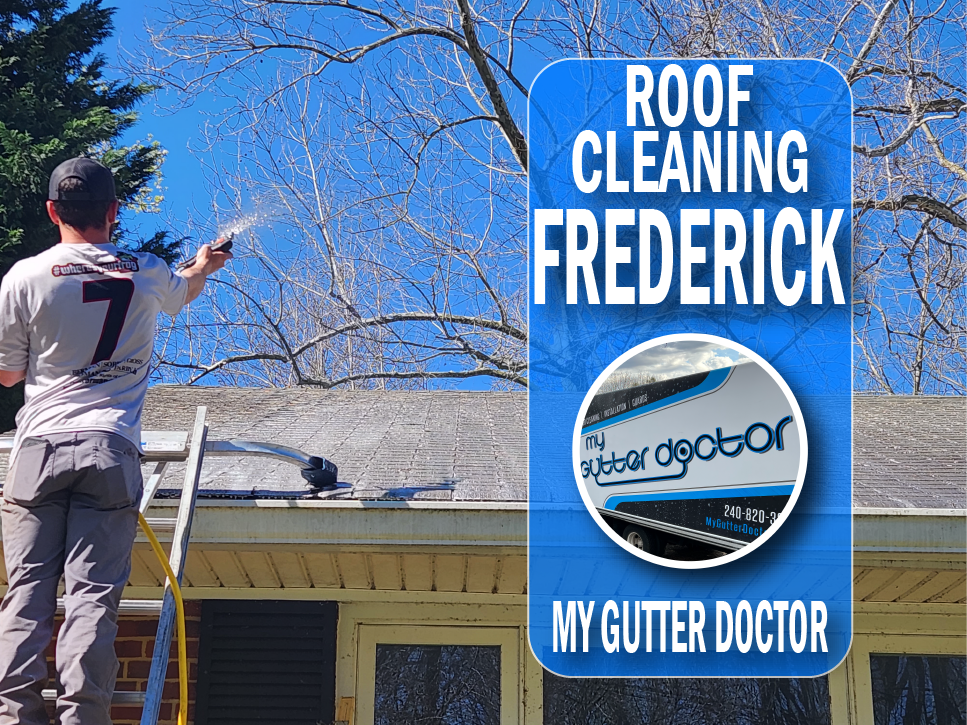 Roof Cleaning in Frederick, MD | Roof Treatment & Restoration