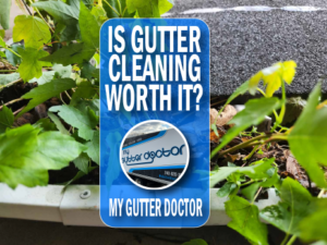 Gutter Cleaning Service & Maintenance Professionals | Top Rated