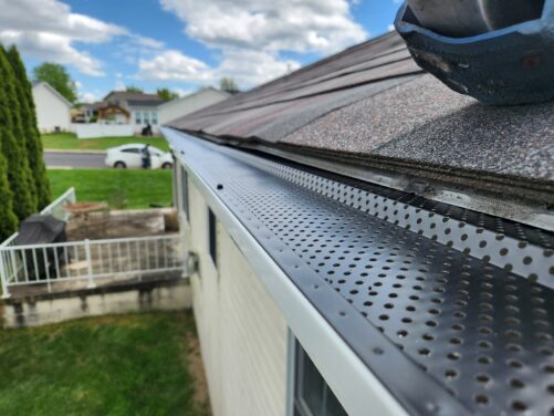 Why Birds Nest In Gutters & How To Prevent Them From Returning