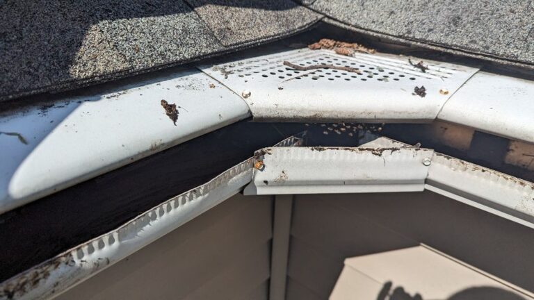 Why Birds Nest In Gutters & How To Prevent Them From Returning